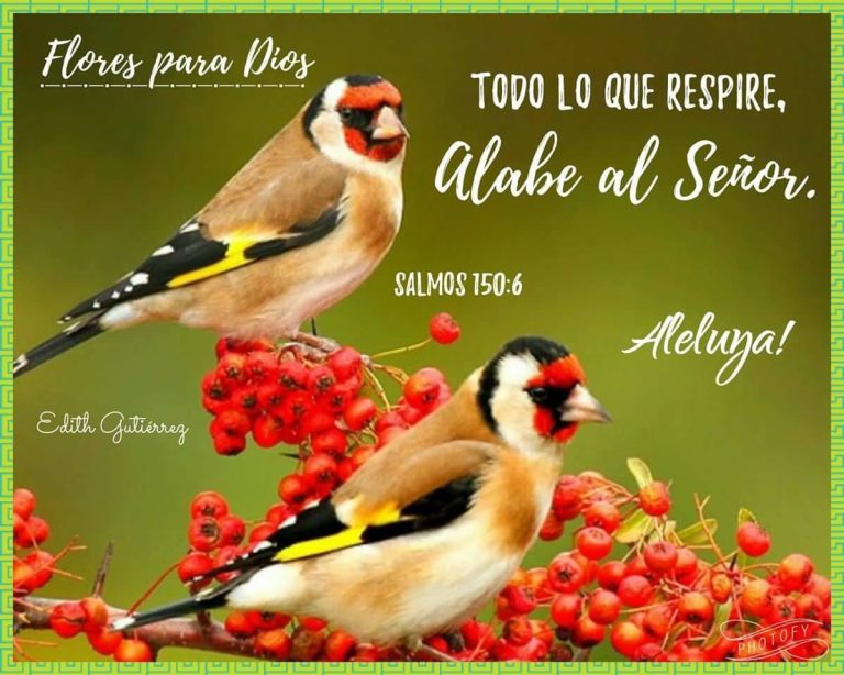 Todo lo que respire alabe a Jehová